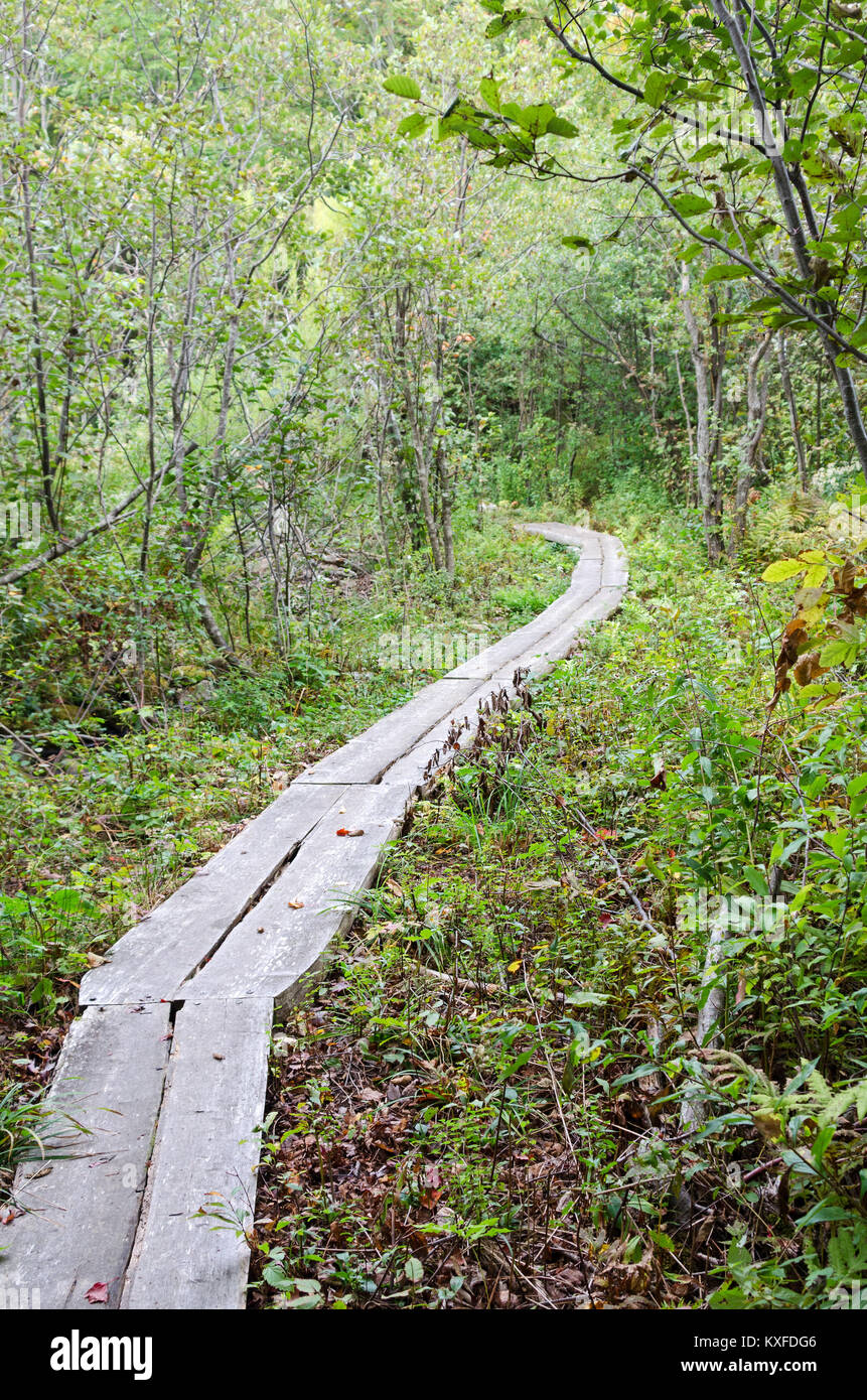 Asticou stream hi-res stock photography and images - Alamy