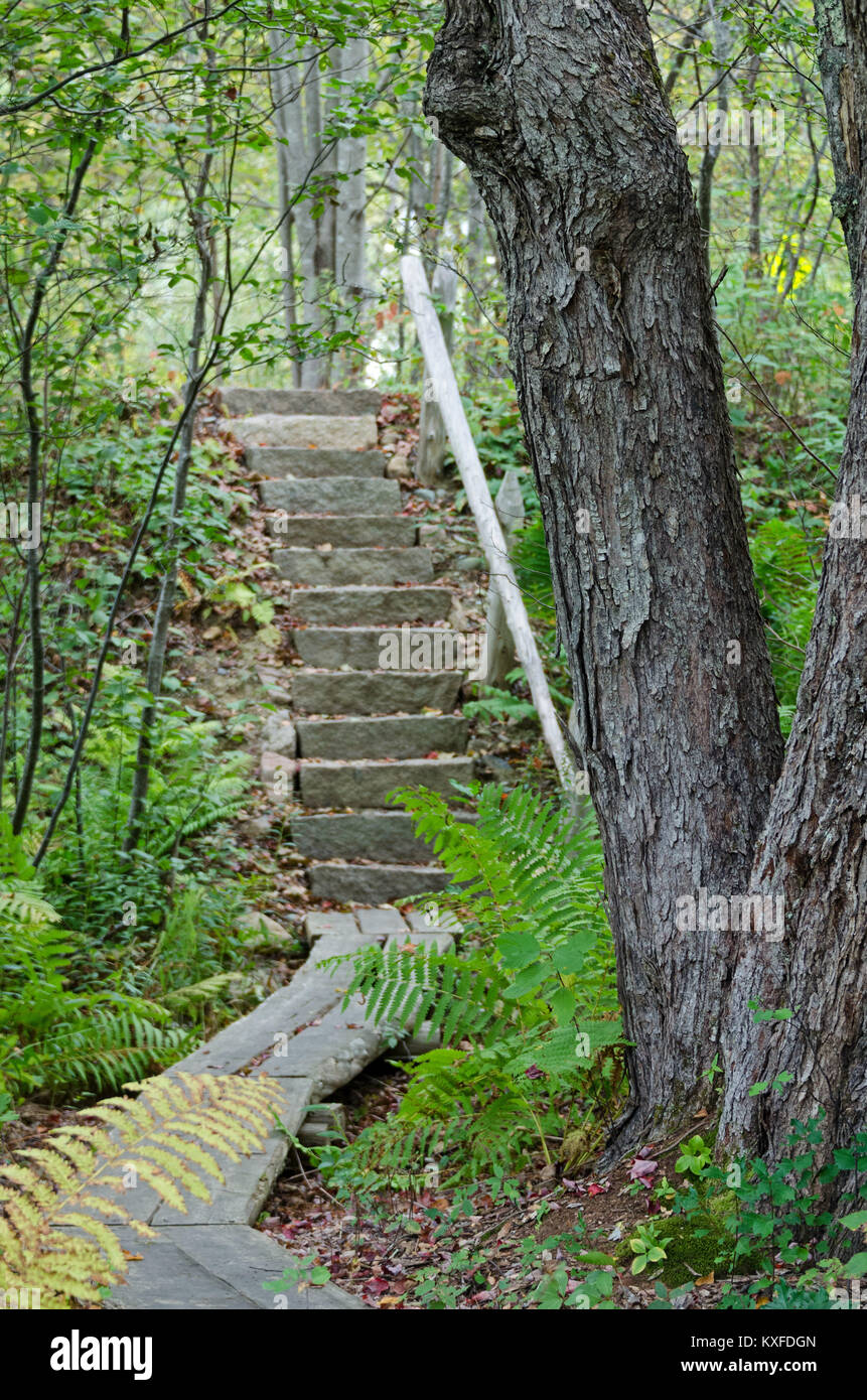 Stairs cut into stone hi-res stock photography and images - Alamy