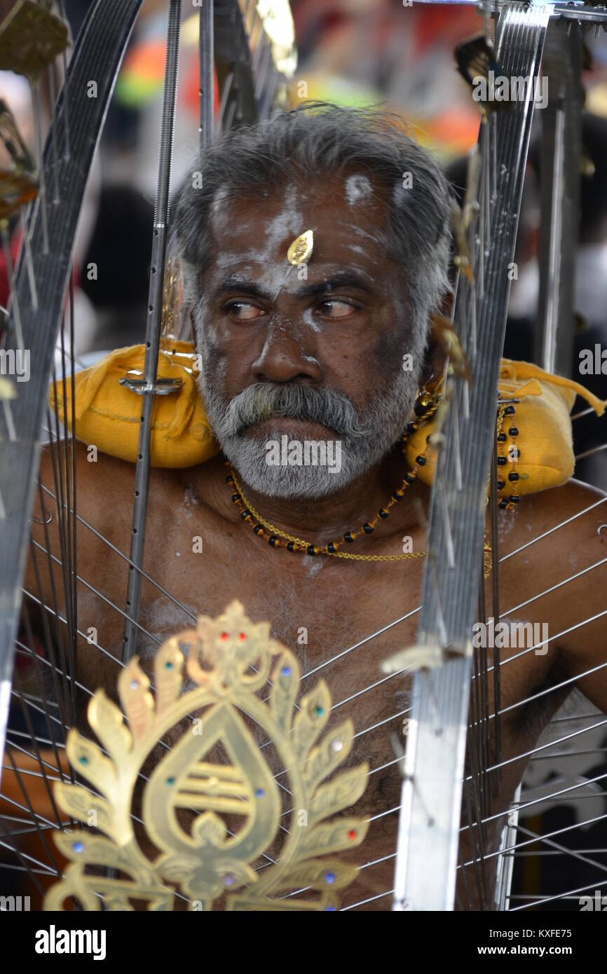Thaipusam is a Hindu festival where devotees come together for a ...