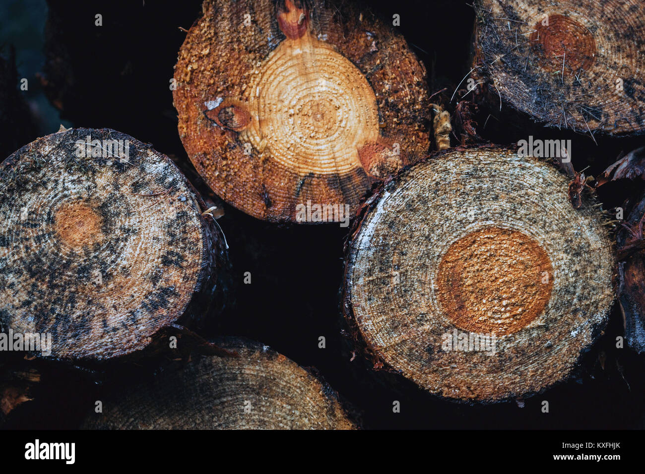 Nature & Food Mix Stock Photo - Alamy