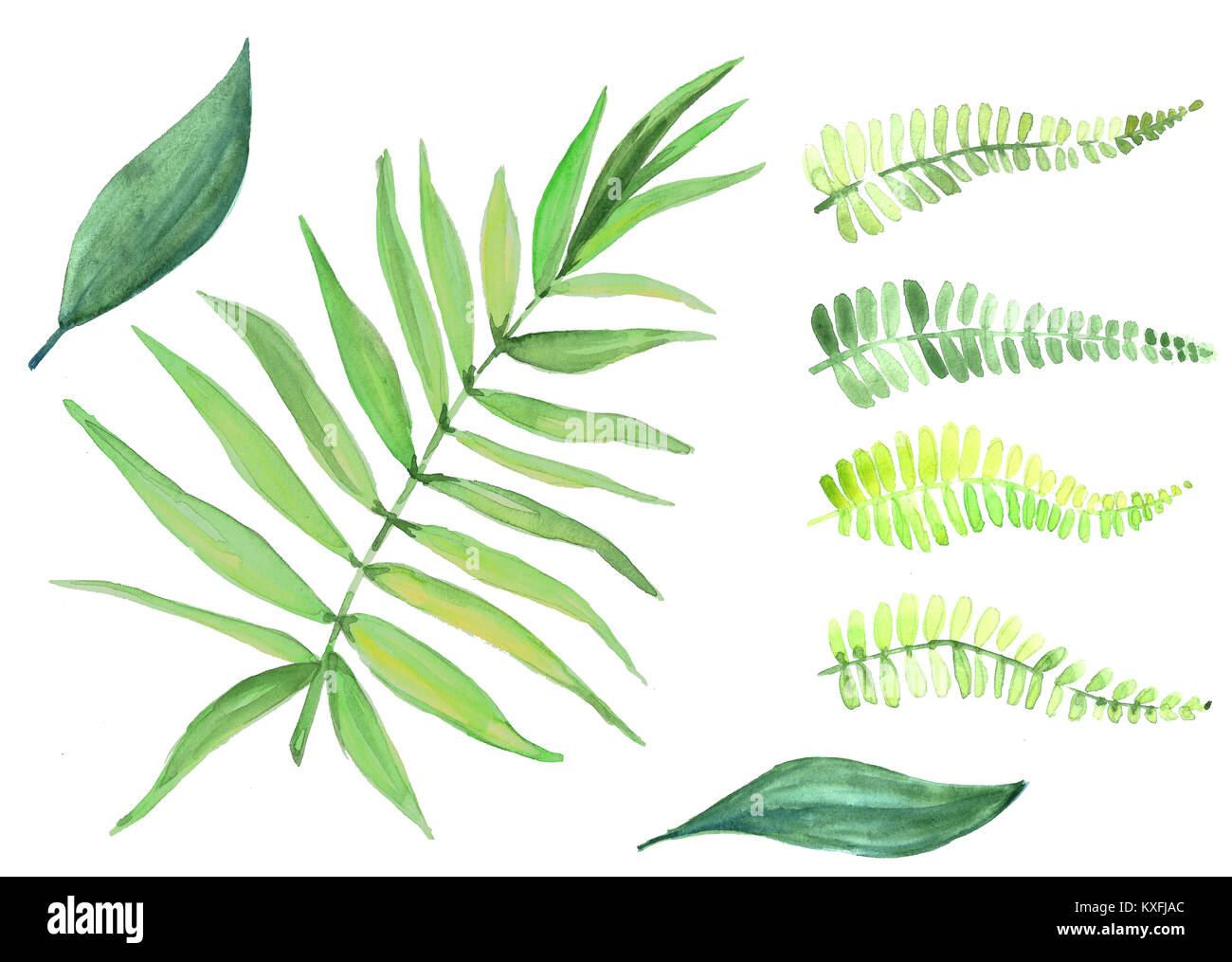 Watercolor leaves. Set of green leaves. Isolated pattern on a white ...