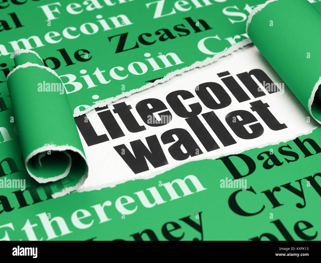 Cryptocurrency concept: black text Litecoin Wallet under the piece of ...