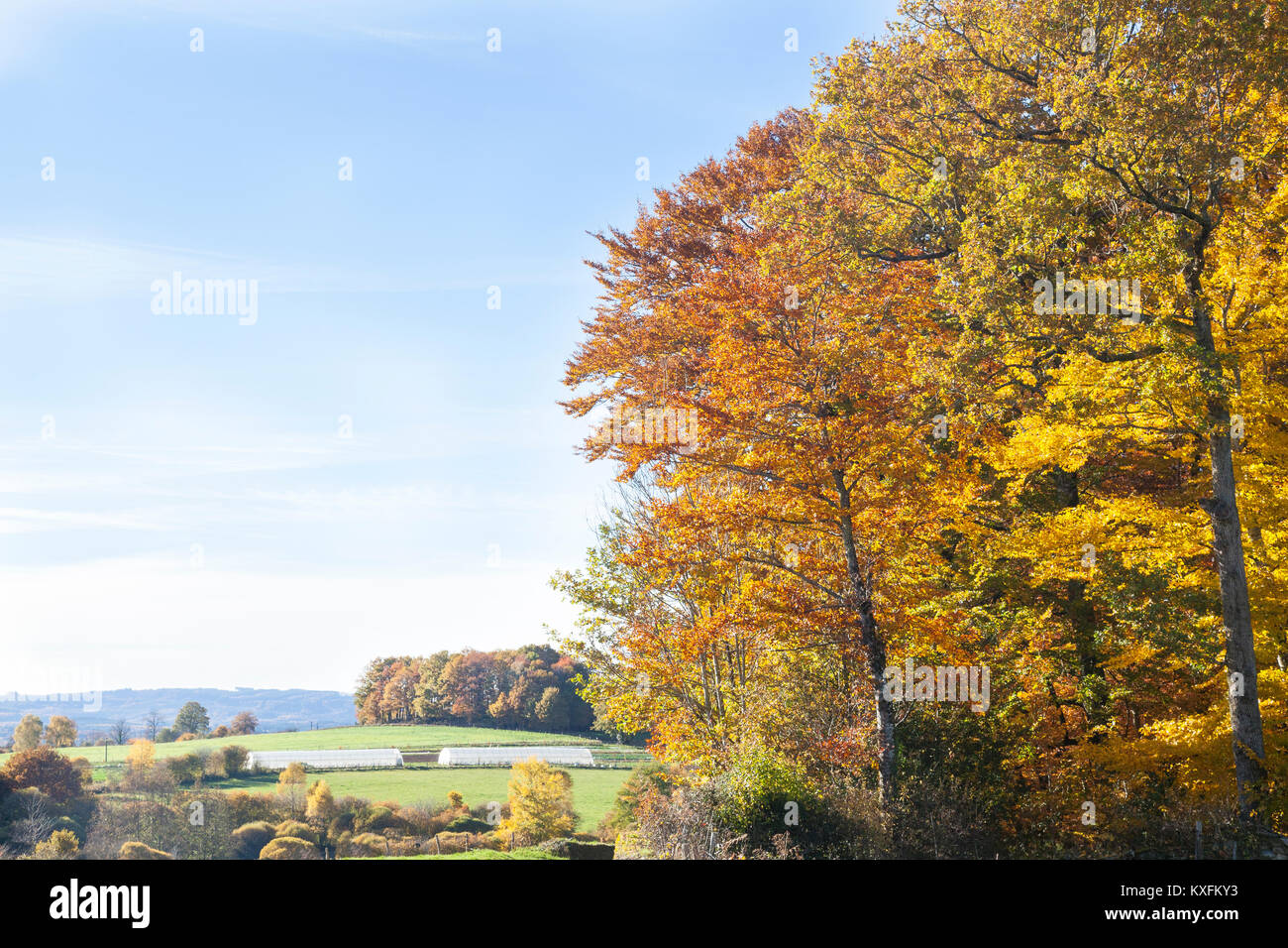 Creuse, Nouvelle-Aquitaine, France, landscape in autumn with colourful ...
