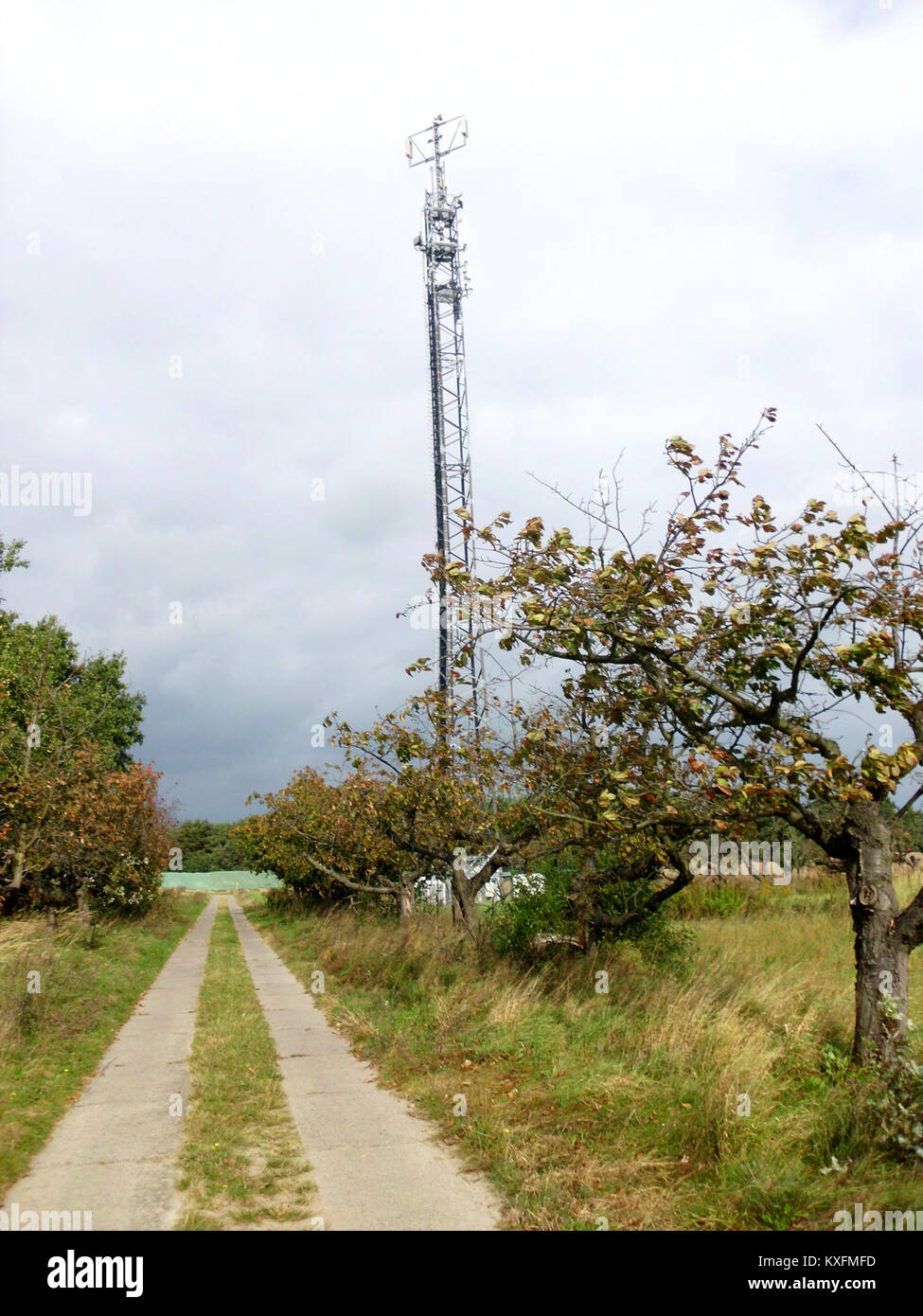 Image of the Alt Templitz transmission mast, a significant historical ...