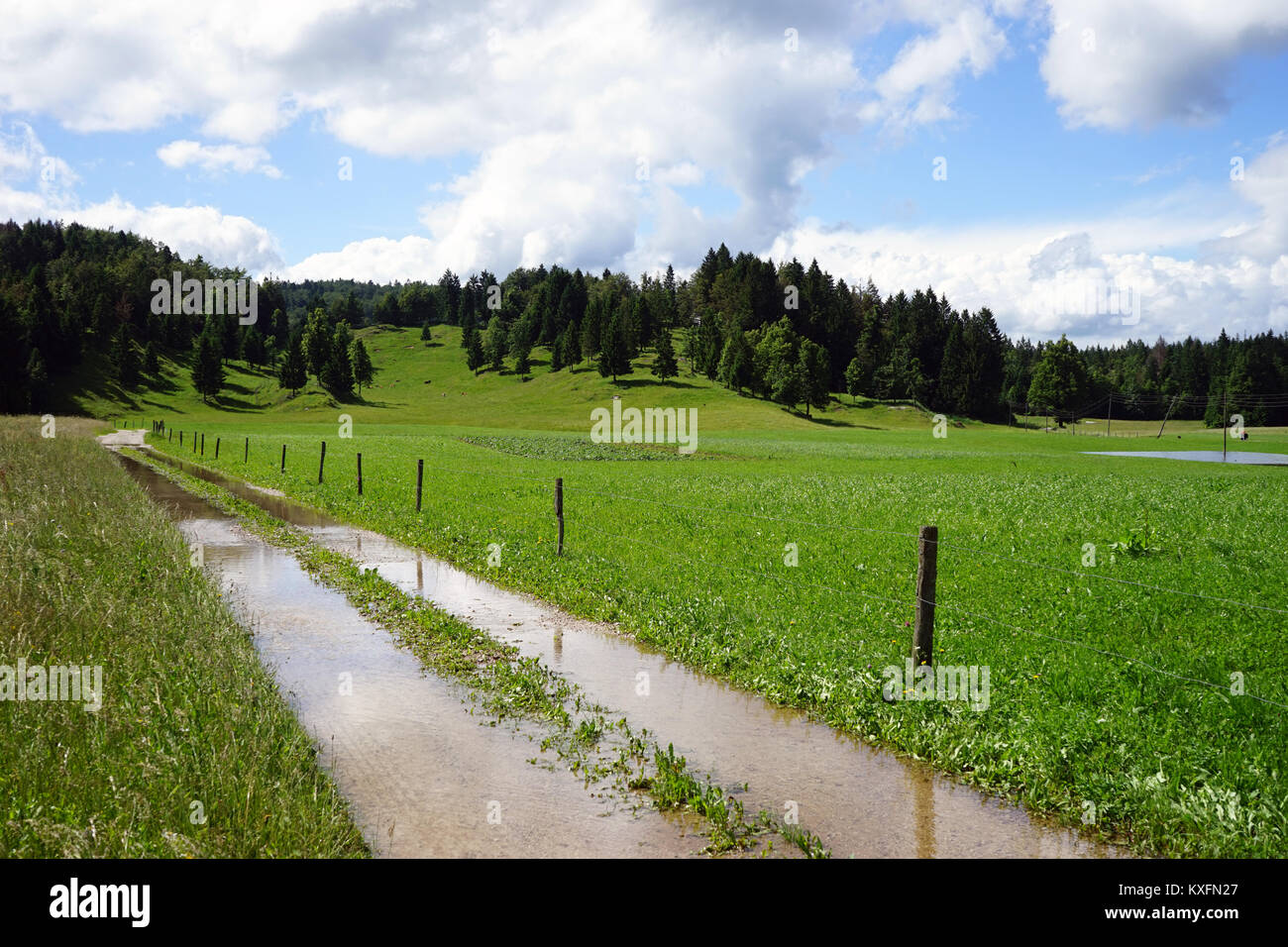 Water on the track near pasture after flooding in Slovenia Stock Photo ...