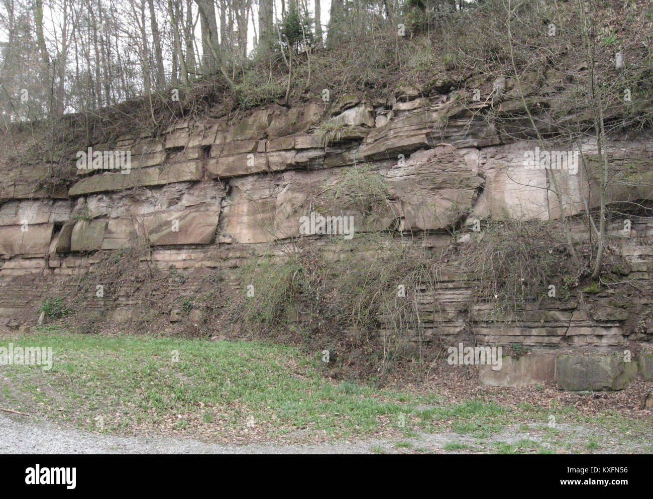 The old Schilfsandstein quarry at the southwest foot of Eichelberg near ...