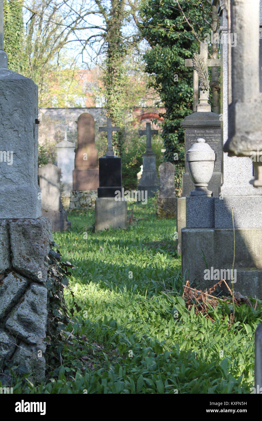 A photograph taken at the Alter Südfriedhof (Old South Cemetery) in ...