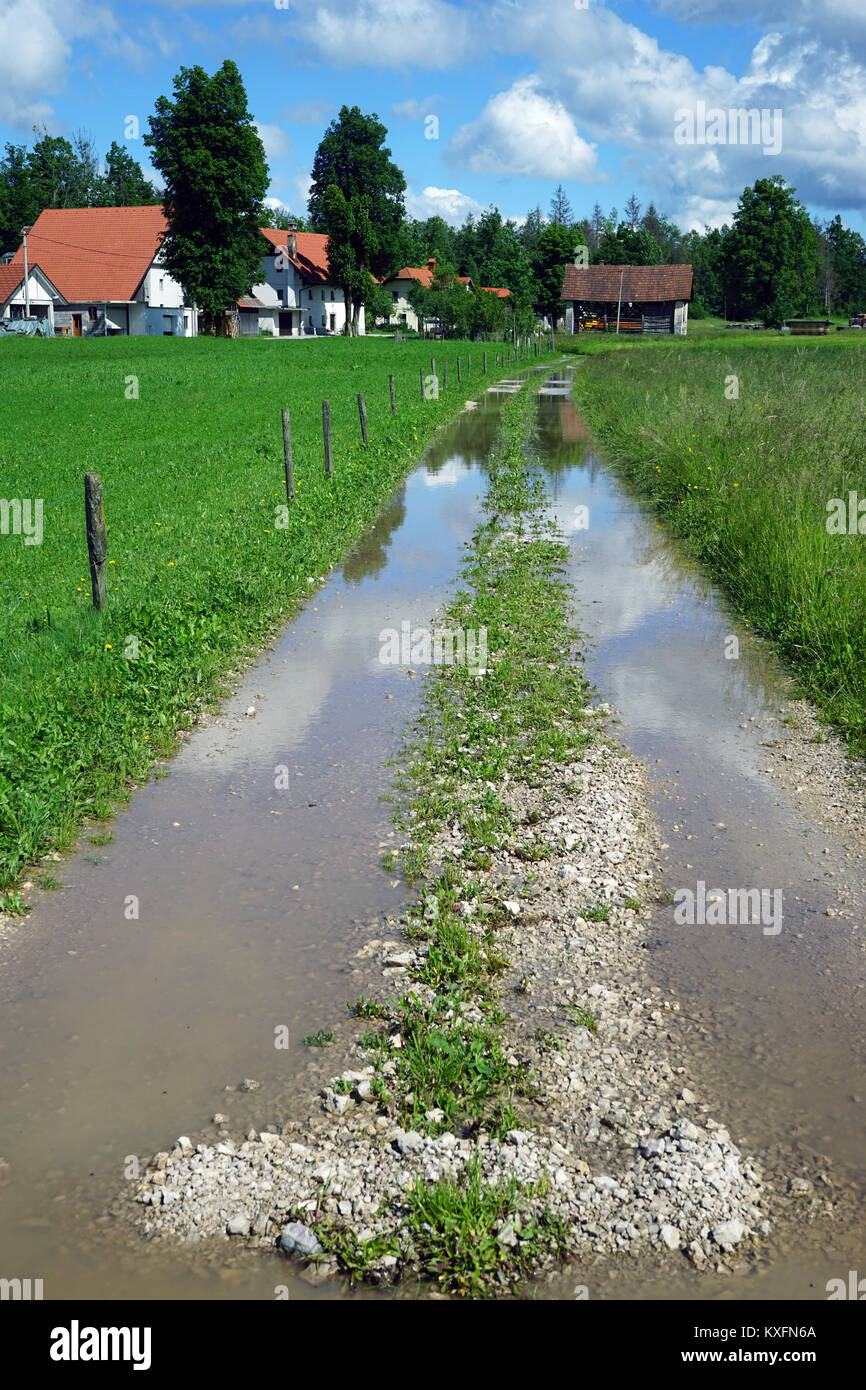 Water on the track on the farm field in Slovenia Stock Photo - Alamy