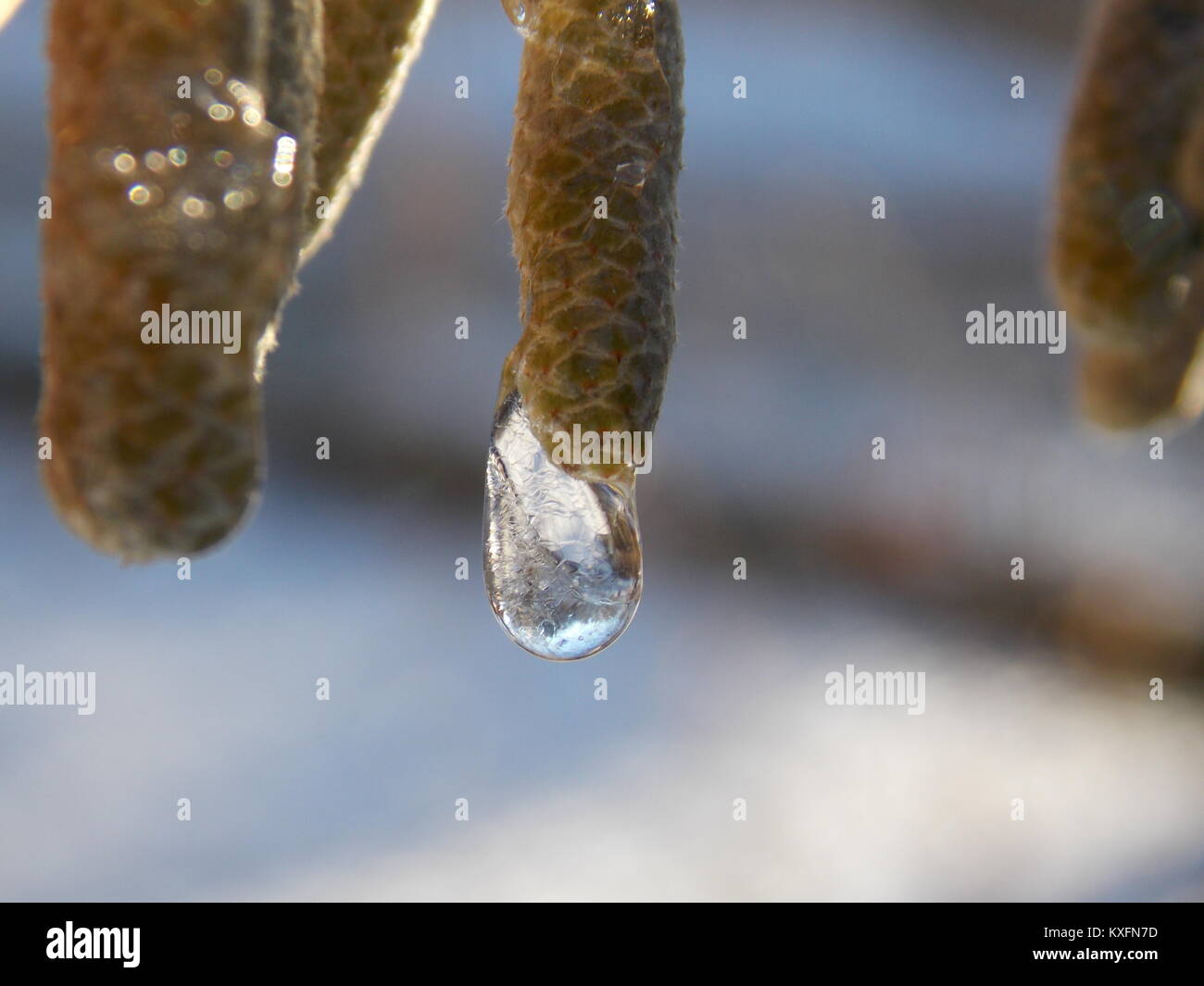 drops and ice Stock Photo - Alamy
