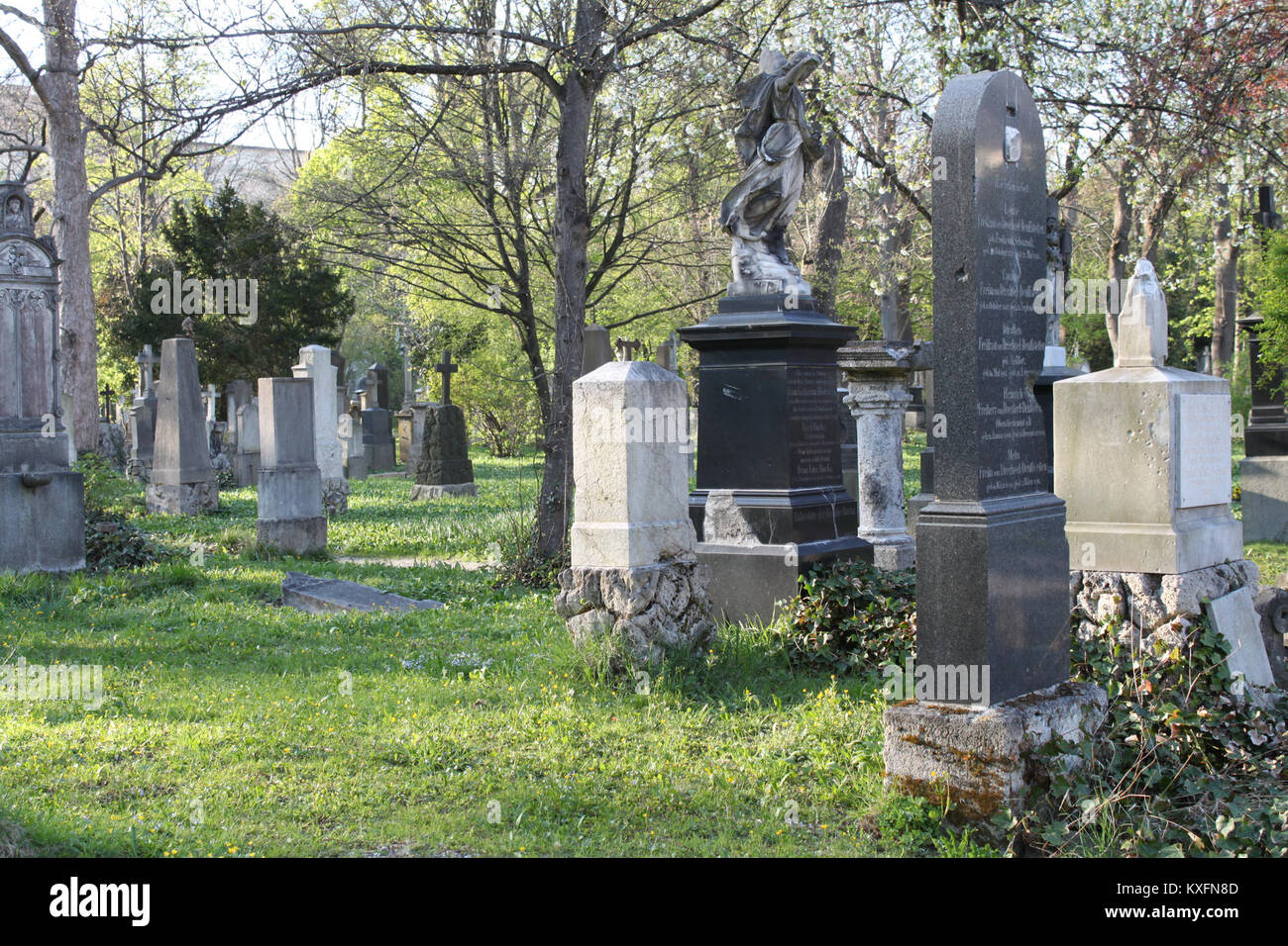 This photograph captures the historical Alter Südfriedhof (Old South ...