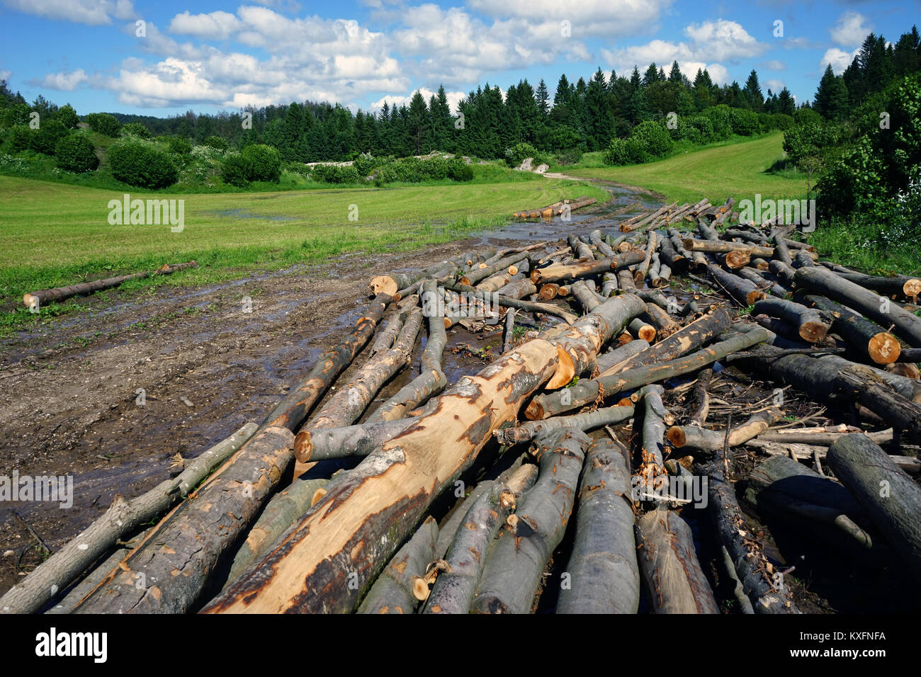 Flooding logs hi-res stock photography and images - Alamy