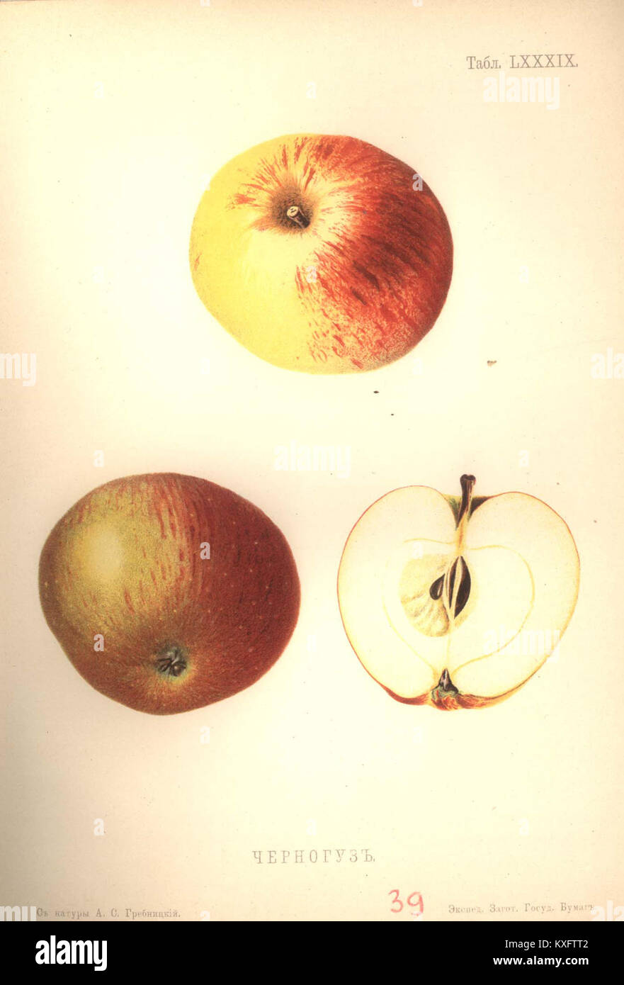 A historical document from 1906 with untranslated text, representing an ...