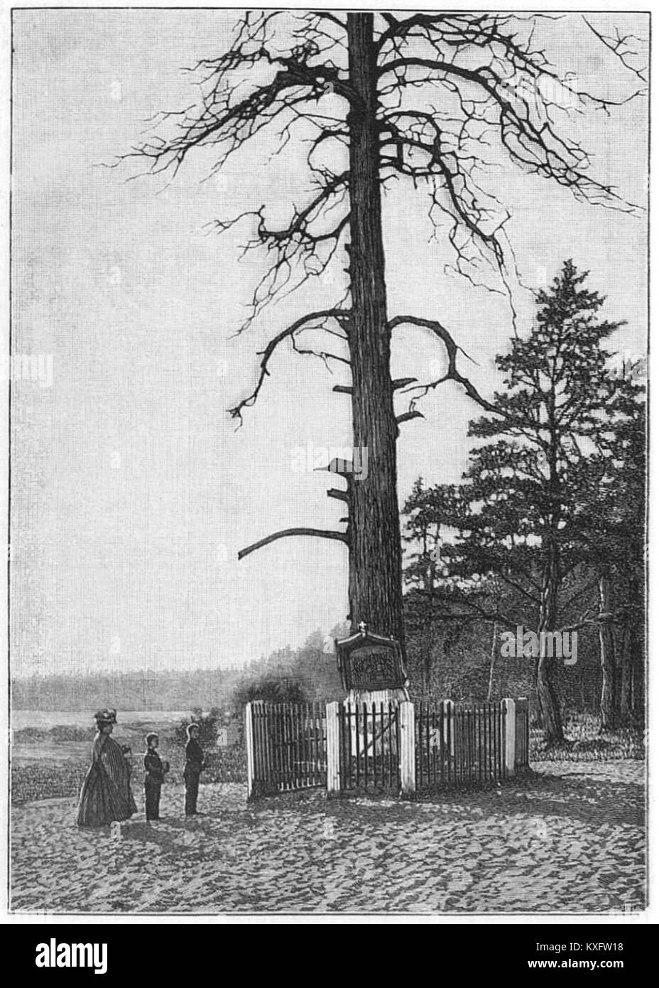 The Title Appears To Contain A Partial Or Incomplete Name Or Title