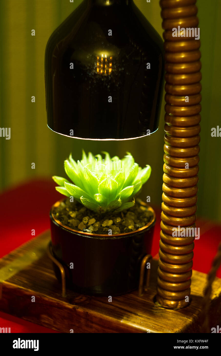 Light fixture handmade - stand for flower pot in vintage style, wooden ...