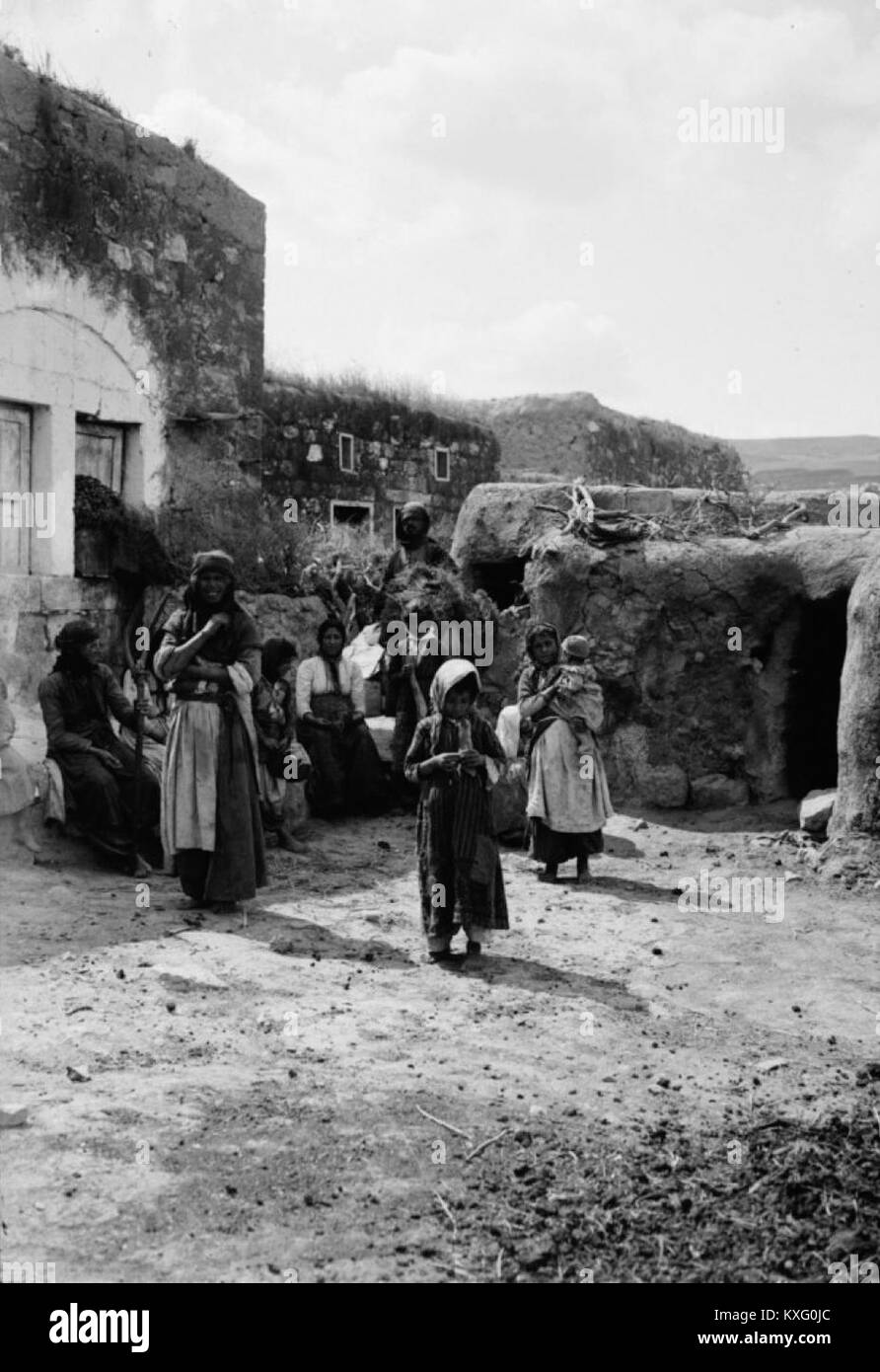 The title appears to be in a non-recognizable language or contains special characters that ...