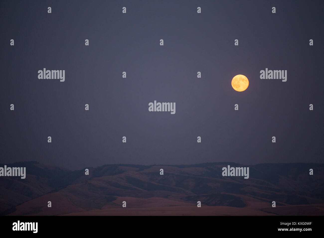 Full moon over the desert hi-res stock photography and images - Alamy