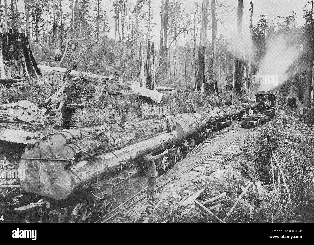 This image is a historic postal insert from September 7, 1911 ...