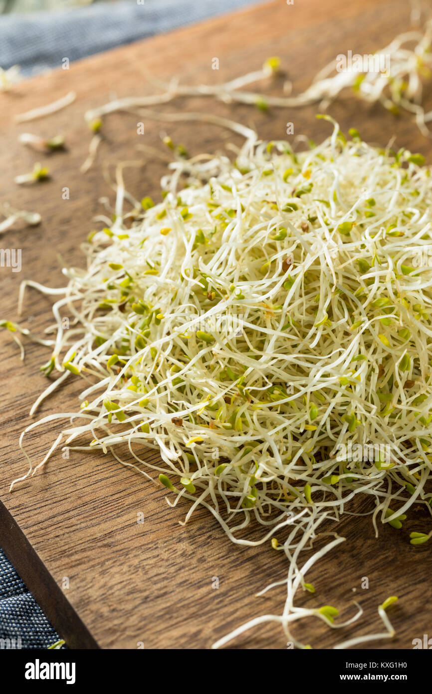 Raw Green Organic Alfalfa Sprouts on a Board Stock Photo - Alamy