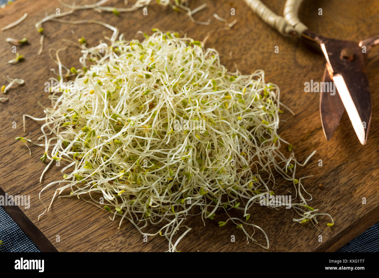 Raw Green Organic Alfalfa Sprouts on a Board Stock Photo - Alamy