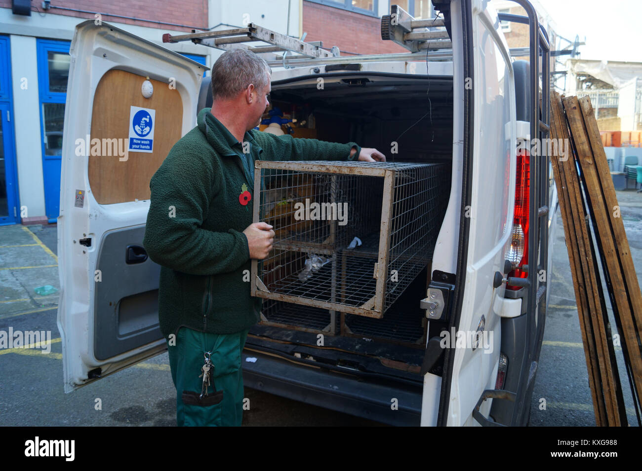 Pest controller hi-res stock photography and images - Alamy