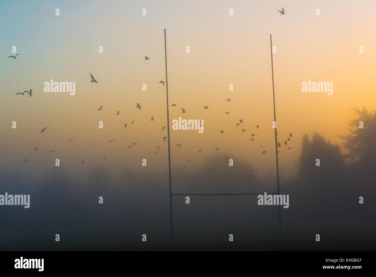 Rugby pitch goal posts in cold winter morning mist with warm orange ...
