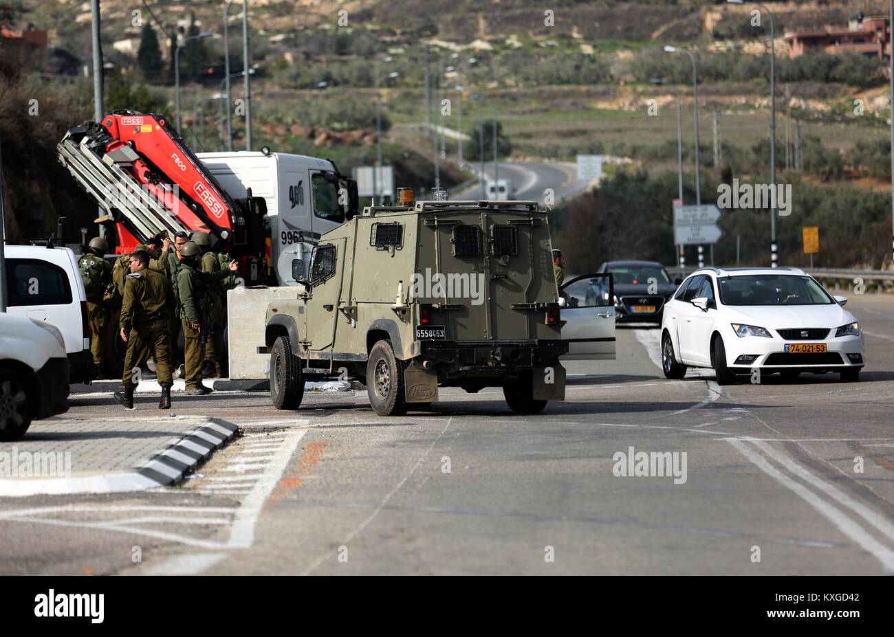 Dead wildcat hi-res stock photography and images - Alamy