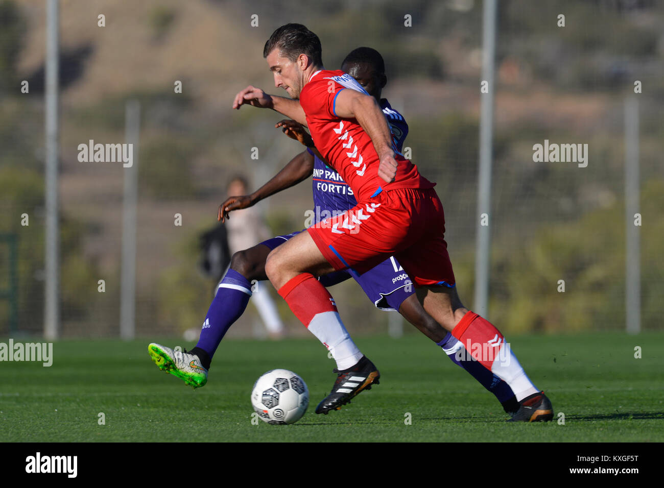 Robin van der meer hi-res stock photography and images - Alamy