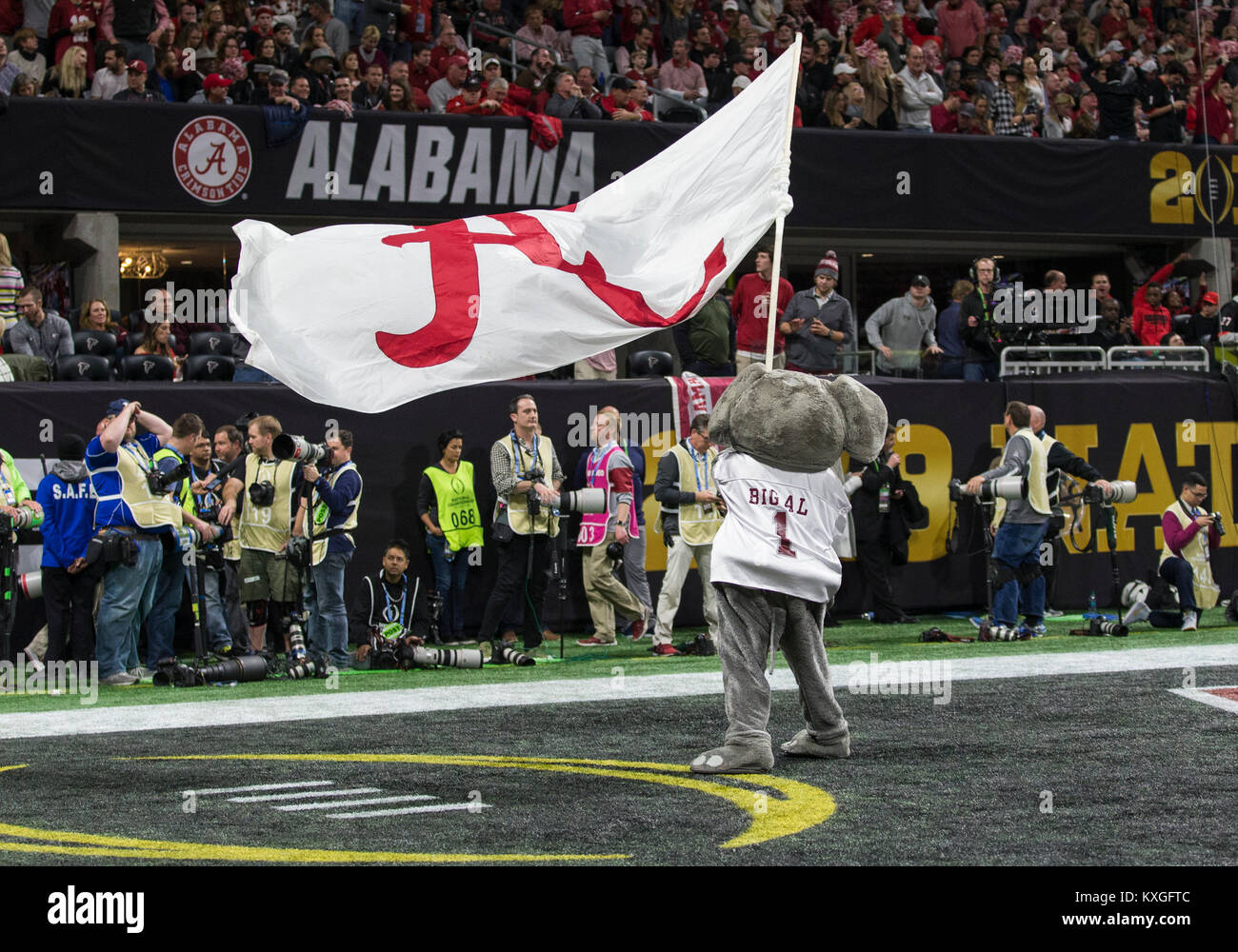 Georgia bulldogs mascot hi-res stock photography and images - Alamy