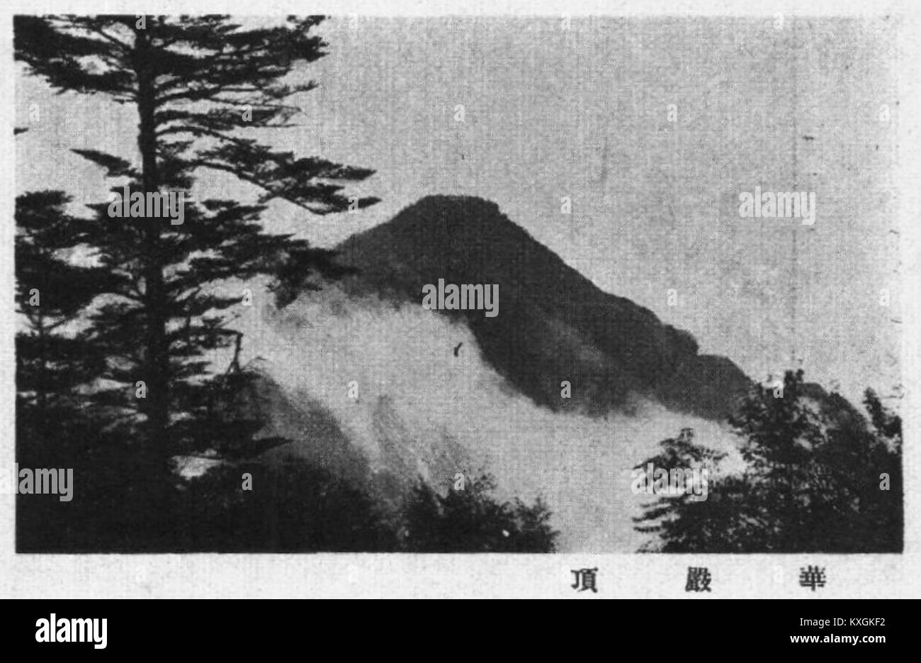 The title does not provide sufficient information for a detailed caption. Further clarification ...