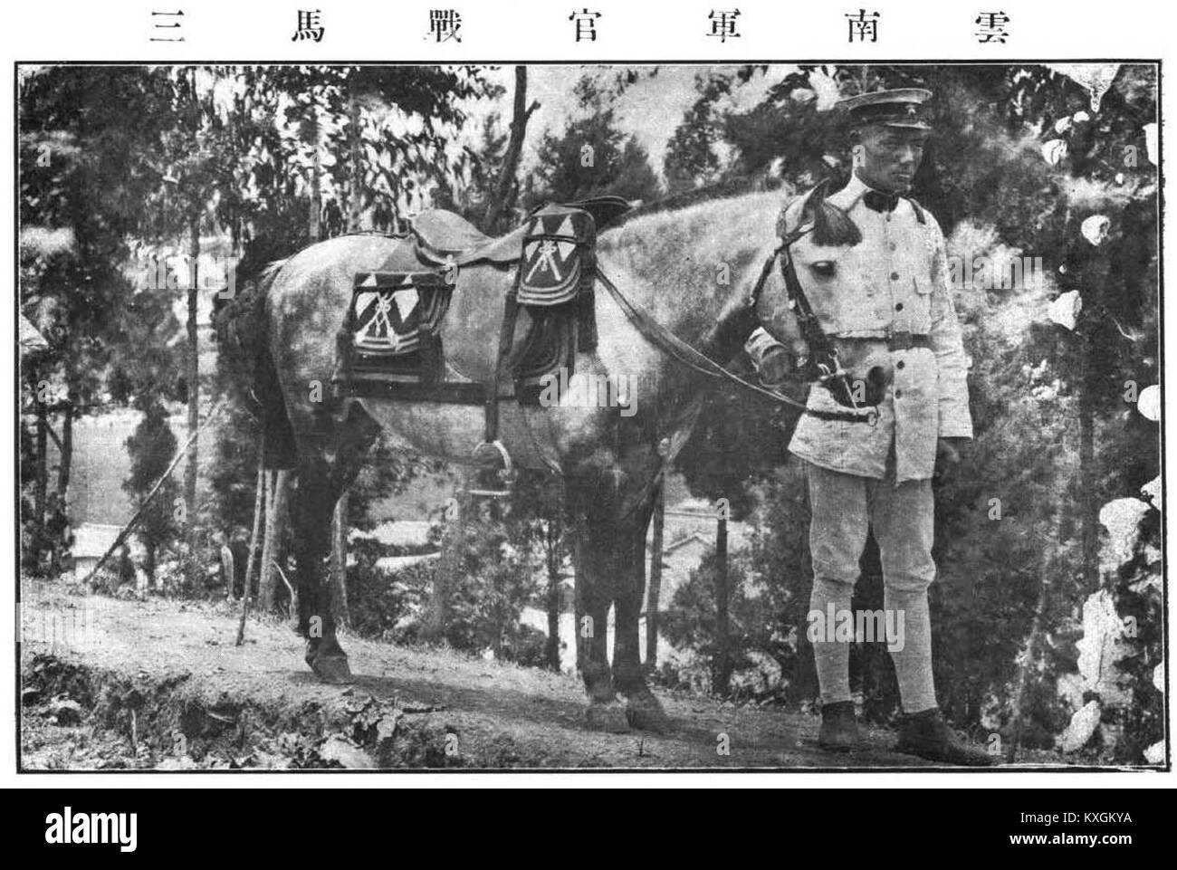 This title contains undecoded or unclear text, which requires further ...