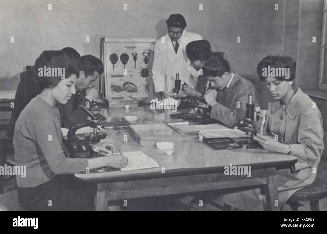 1950s classroom hi-res stock photography and images - Alamy