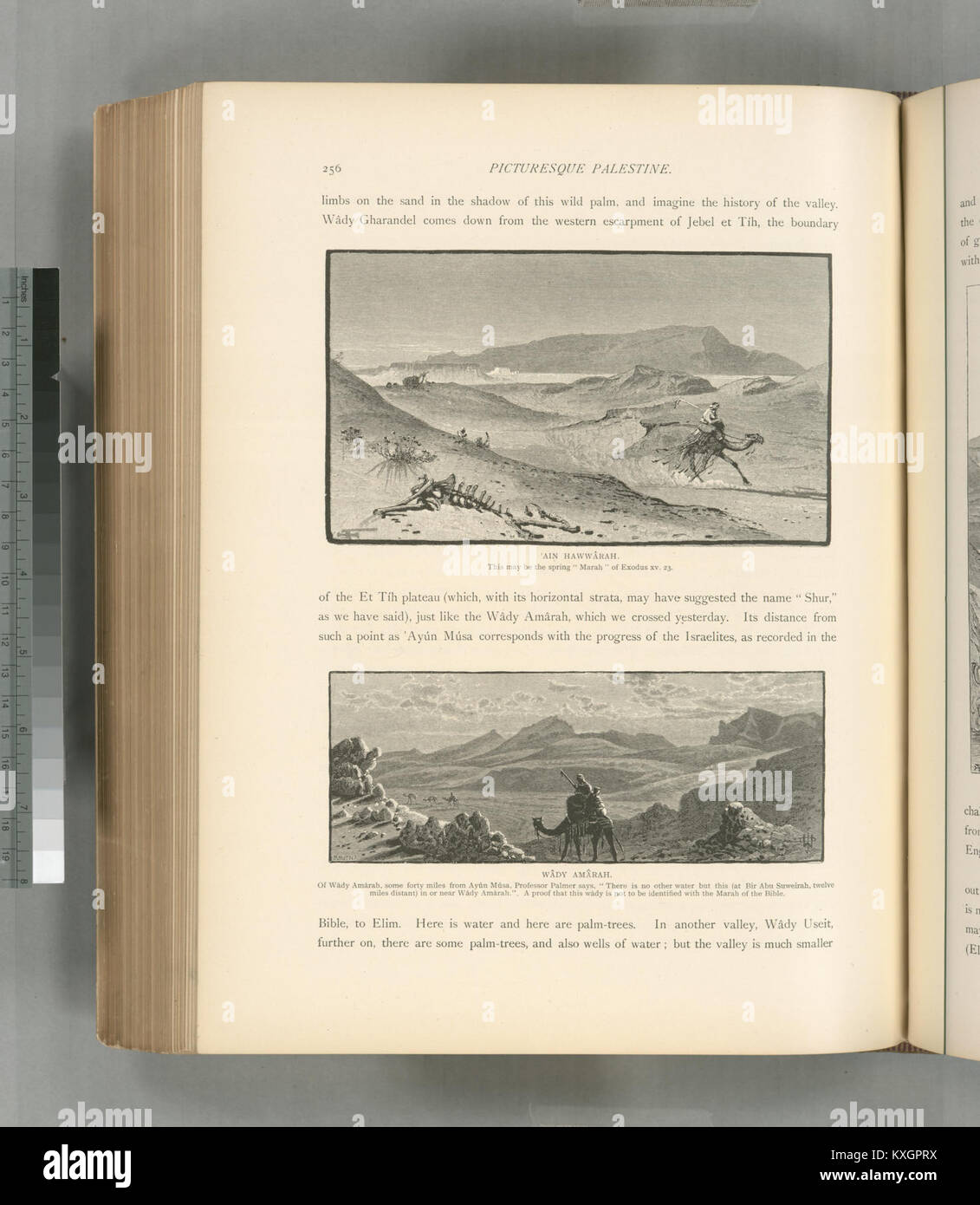 Israelite exodus hi-res stock photography and images - Alamy