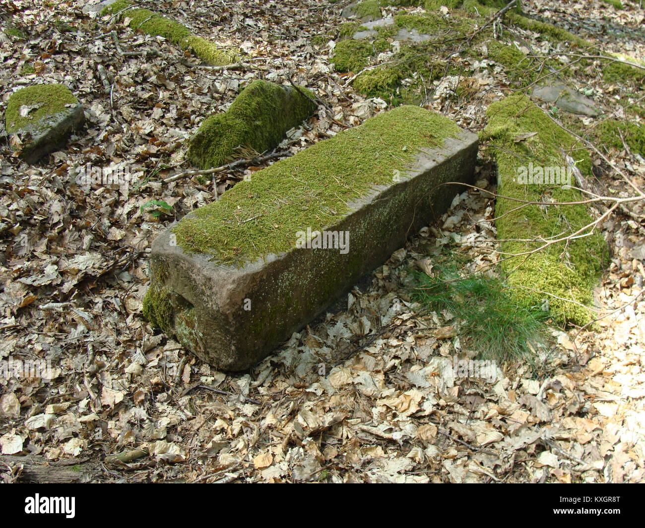 This photograph taken in 2015 shows a scenic view of the Pfälzerwald ...
