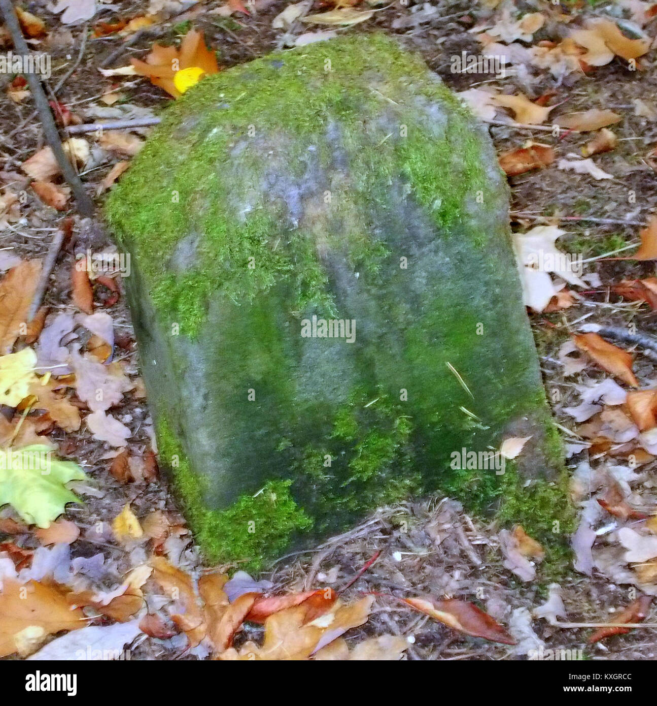 Boundary placement hi-res stock photography and images - Alamy