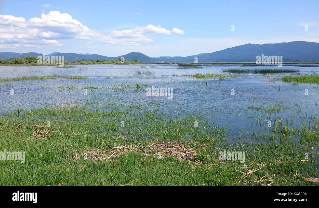 Slivnica hi-res stock photography and images - Alamy