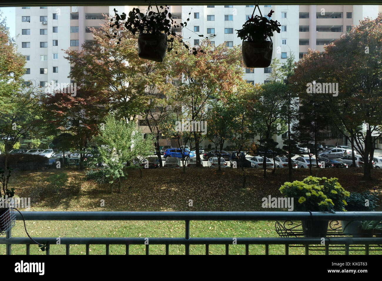 Digital timestamp hi-res stock photography and images - Alamy