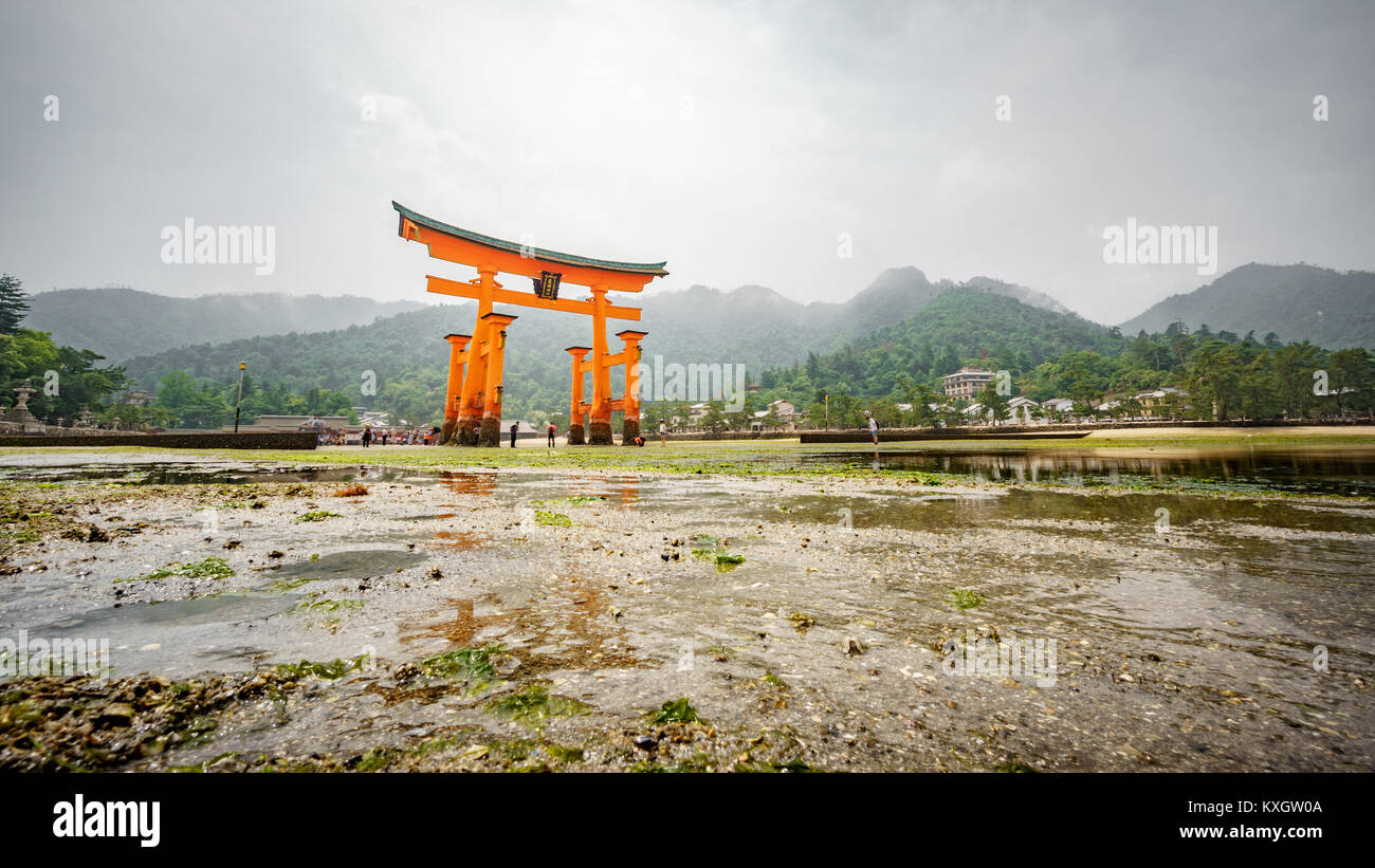 Long exposure in Miyajima, Floating Torii gate, low tide, Japan Stock ...
