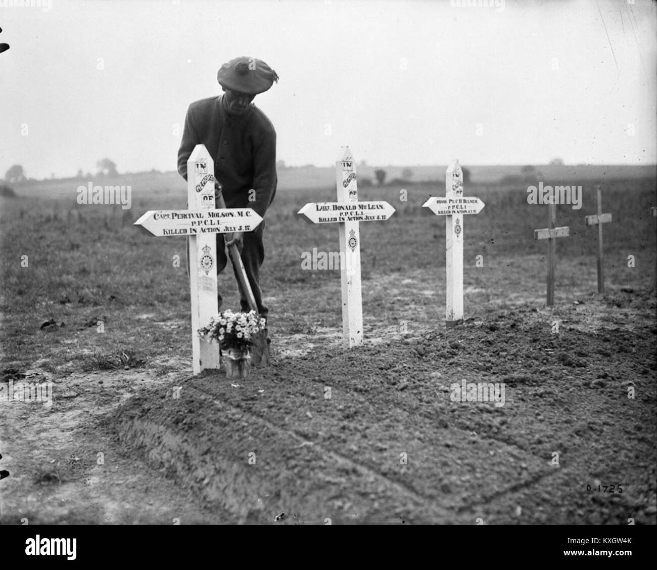 Educational animal illustrations Black and White Stock Photos & Images ...