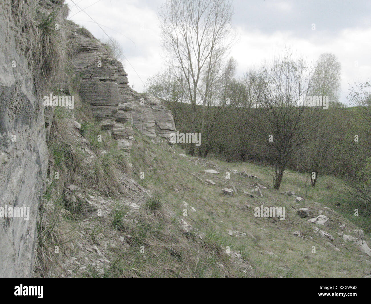 A historical photograph of a gypsum quarry edge at the Old Gallows Hill ...