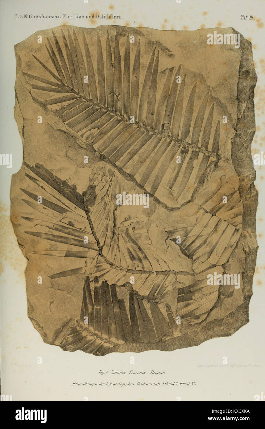 Work from imperial royal hi-res stock photography and images - Alamy