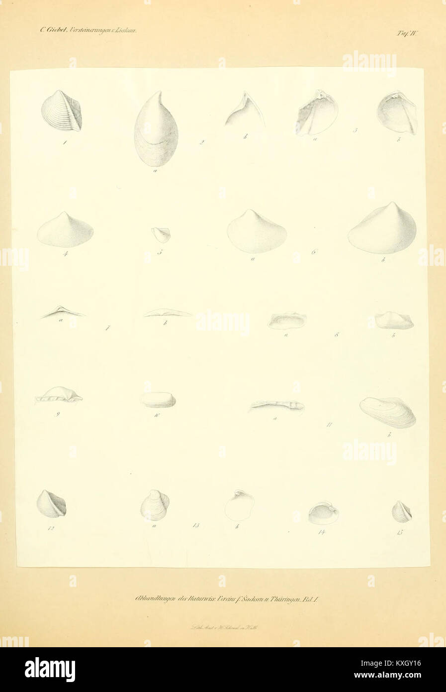 A scientific journal documenting various research findings from the ...