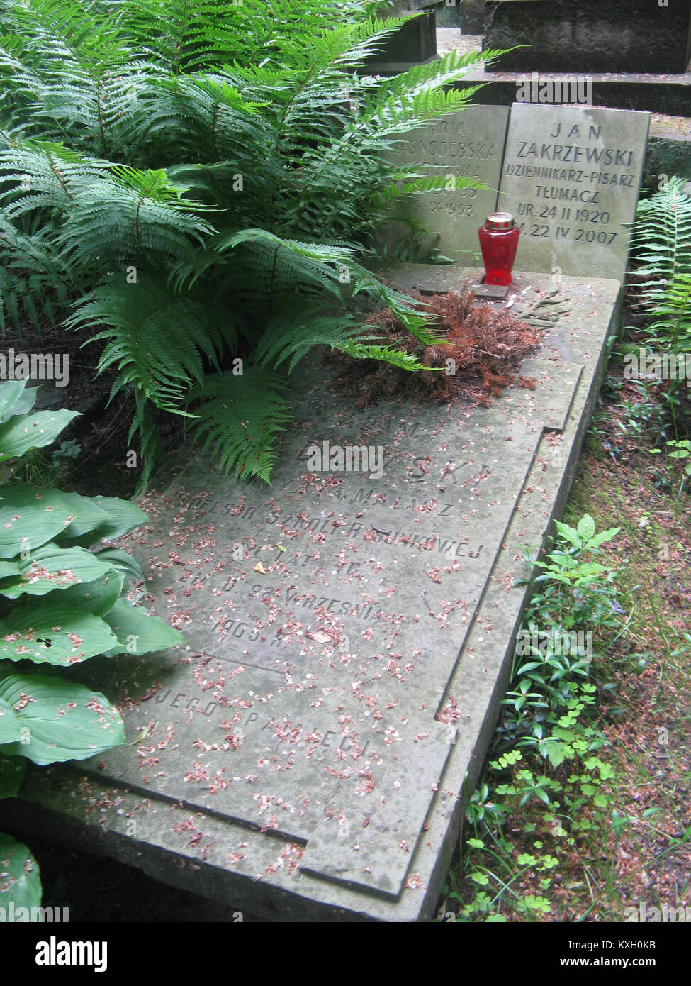 Adam badowski hi-res stock photography and images - Alamy