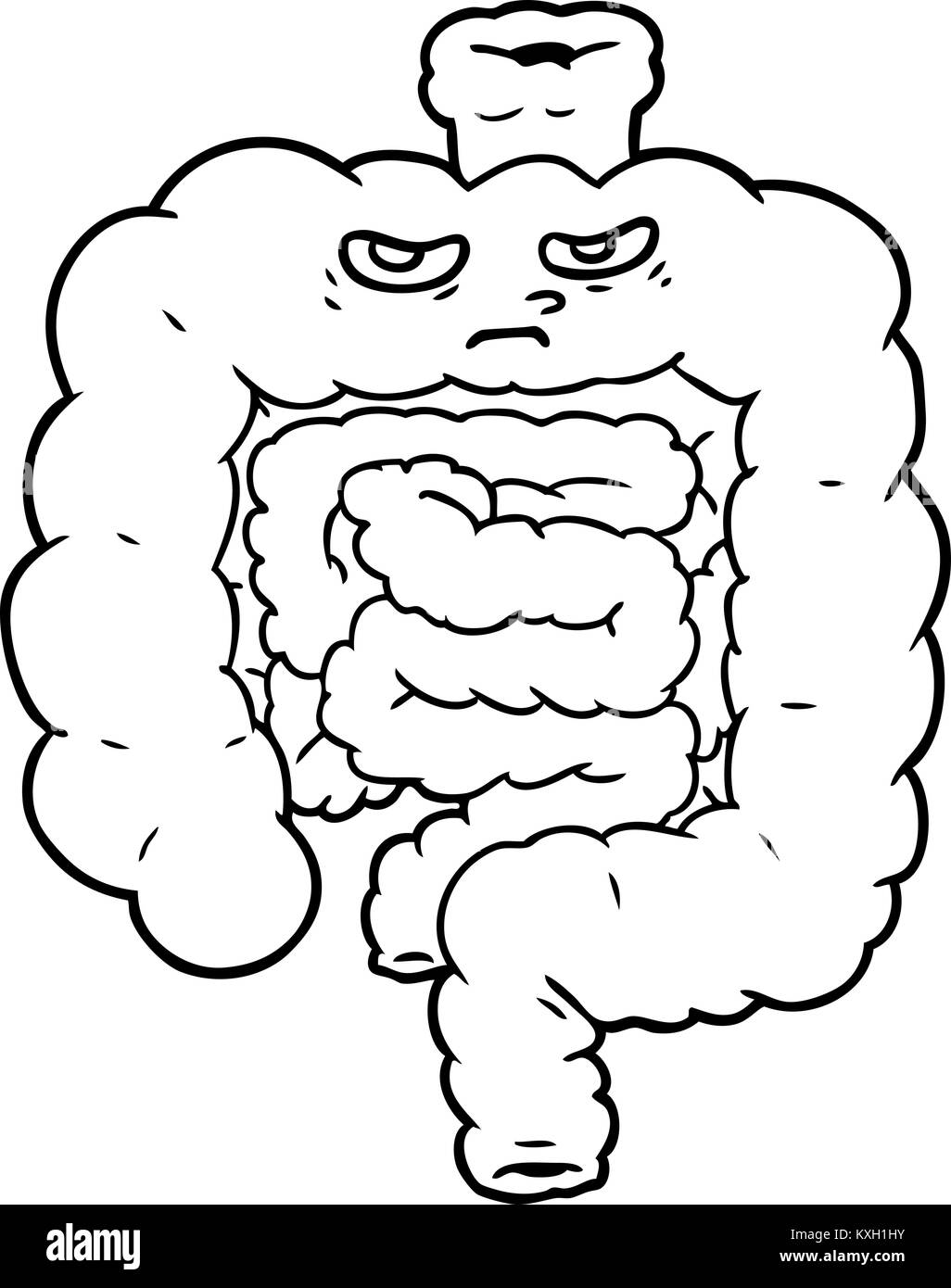 Intestines human organ Black and White Stock Photos & Images - Alamy