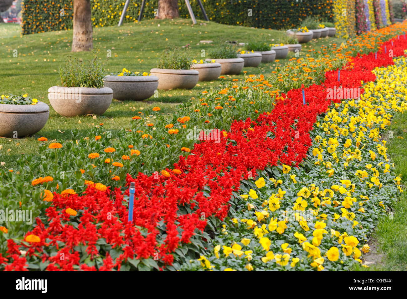 A colorful garden corner Stock Photo - Alamy