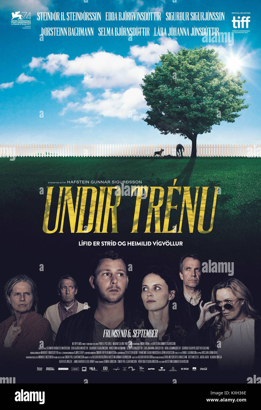 UNDER THE TREE, (aka UNDIR TRENU), Icelandic poster, from left: Edda ...