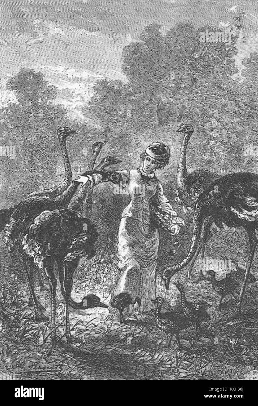 The vanished diamond hi-res stock photography and images - Alamy