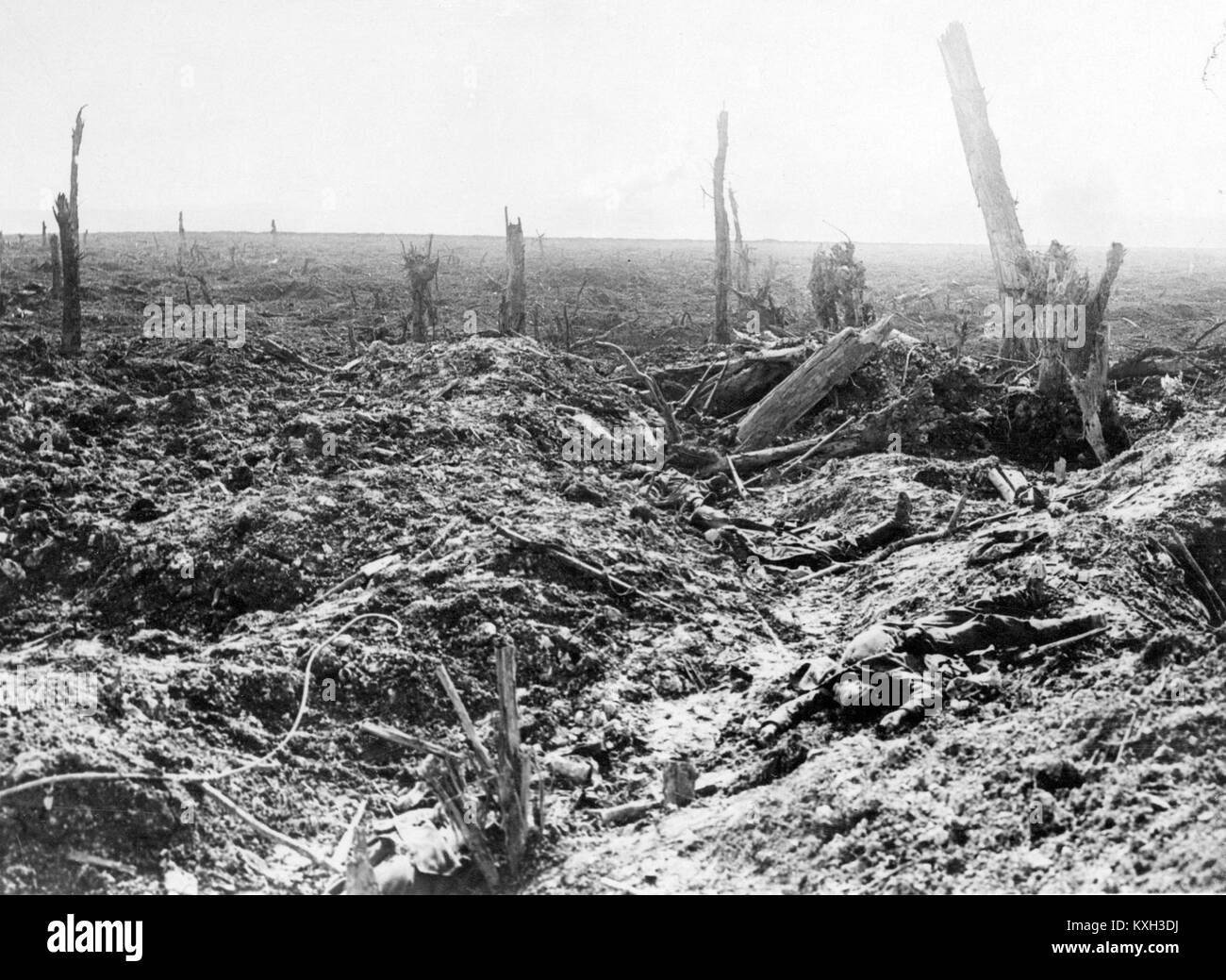 A photograph taken after the Battle of Flers-Courcelette in September ...