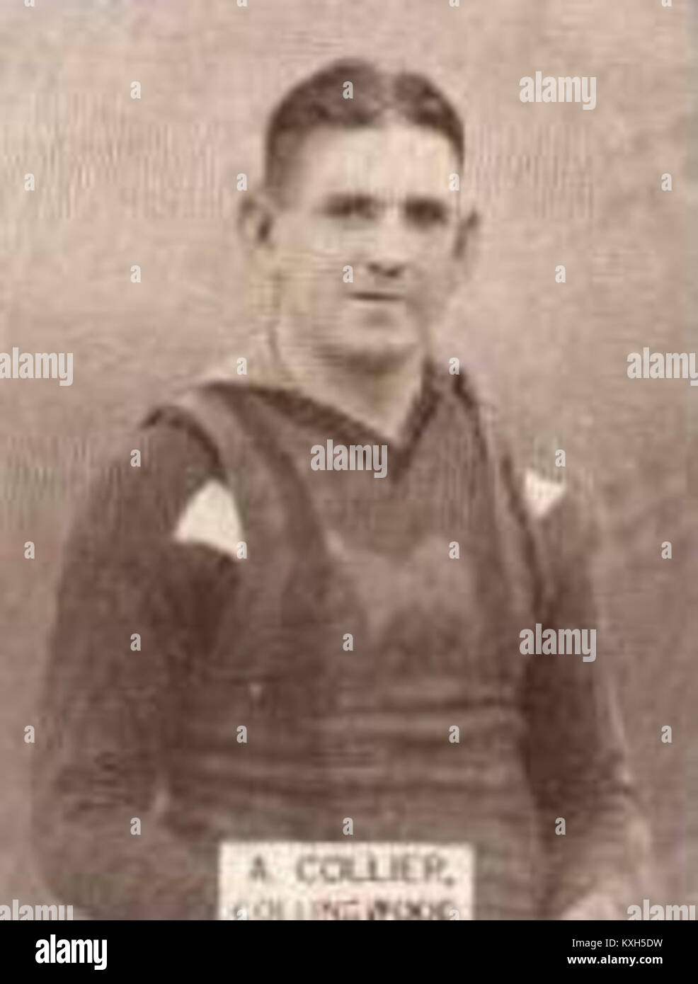 A photograph or portrait of Albert Collier taken in 1933, documenting ...