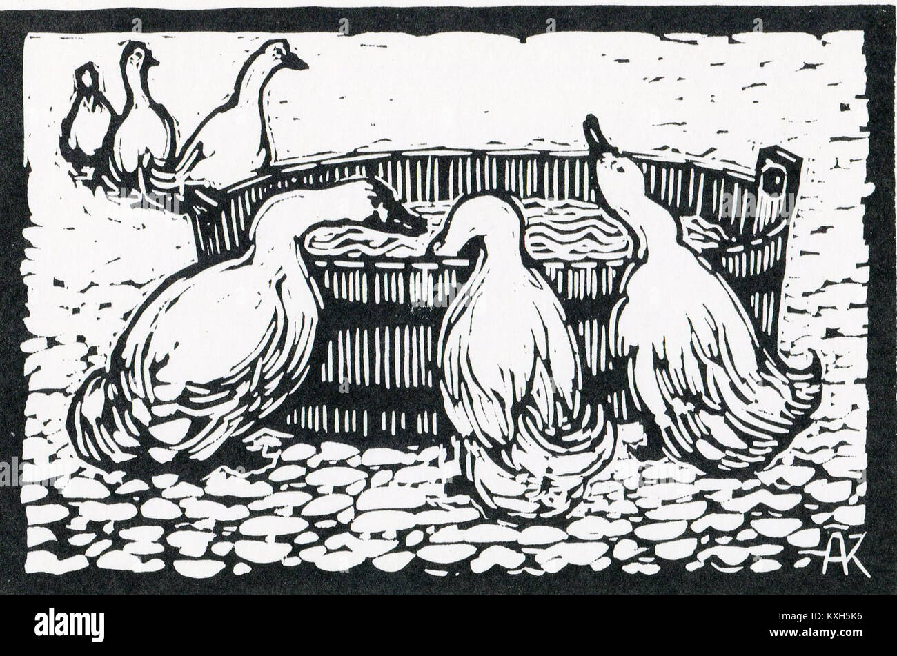 This image portrays Albert König’s depiction of ducks, highlighting his ...