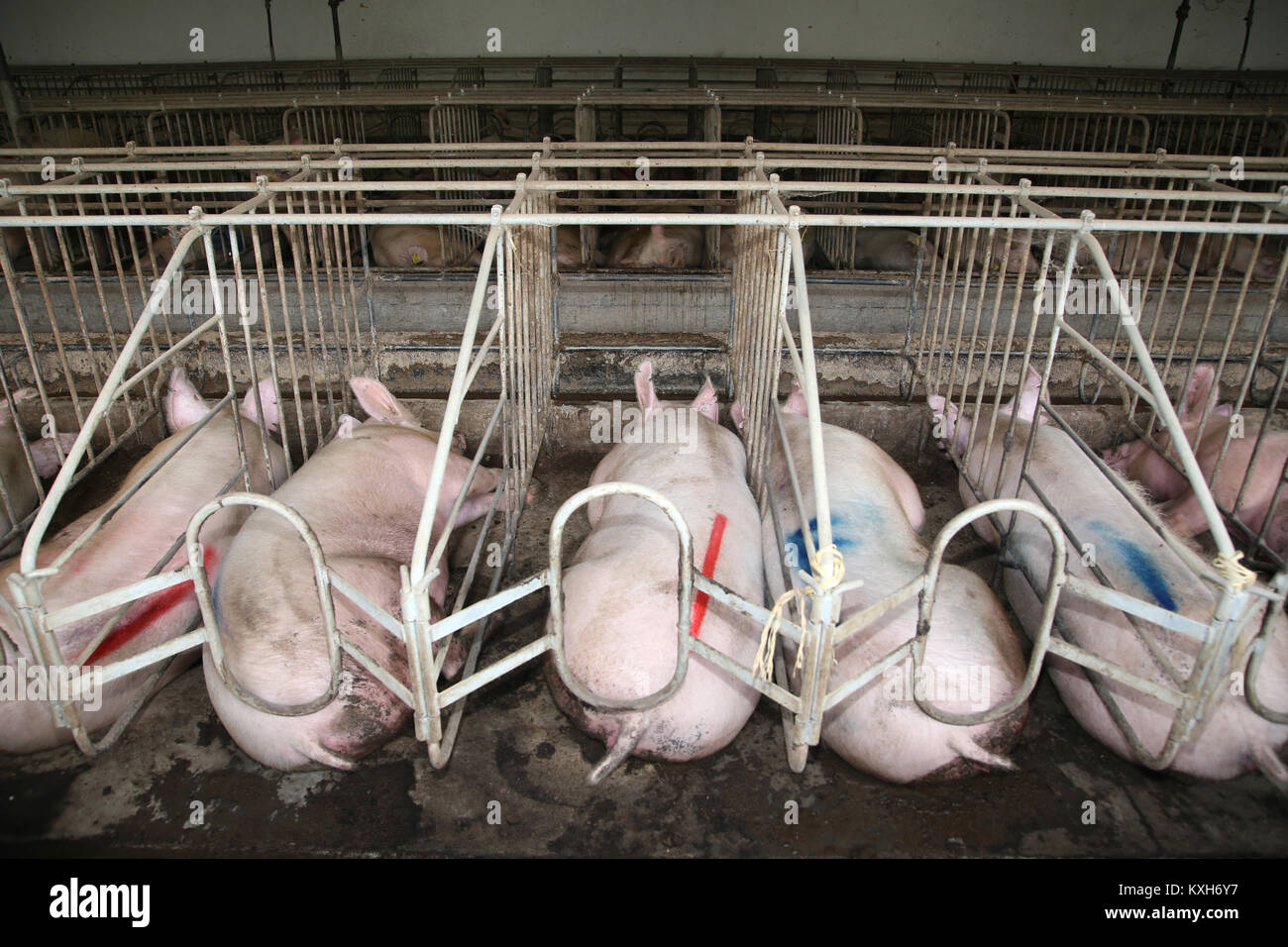 Pig iron bar hi-res stock photography and images - Alamy